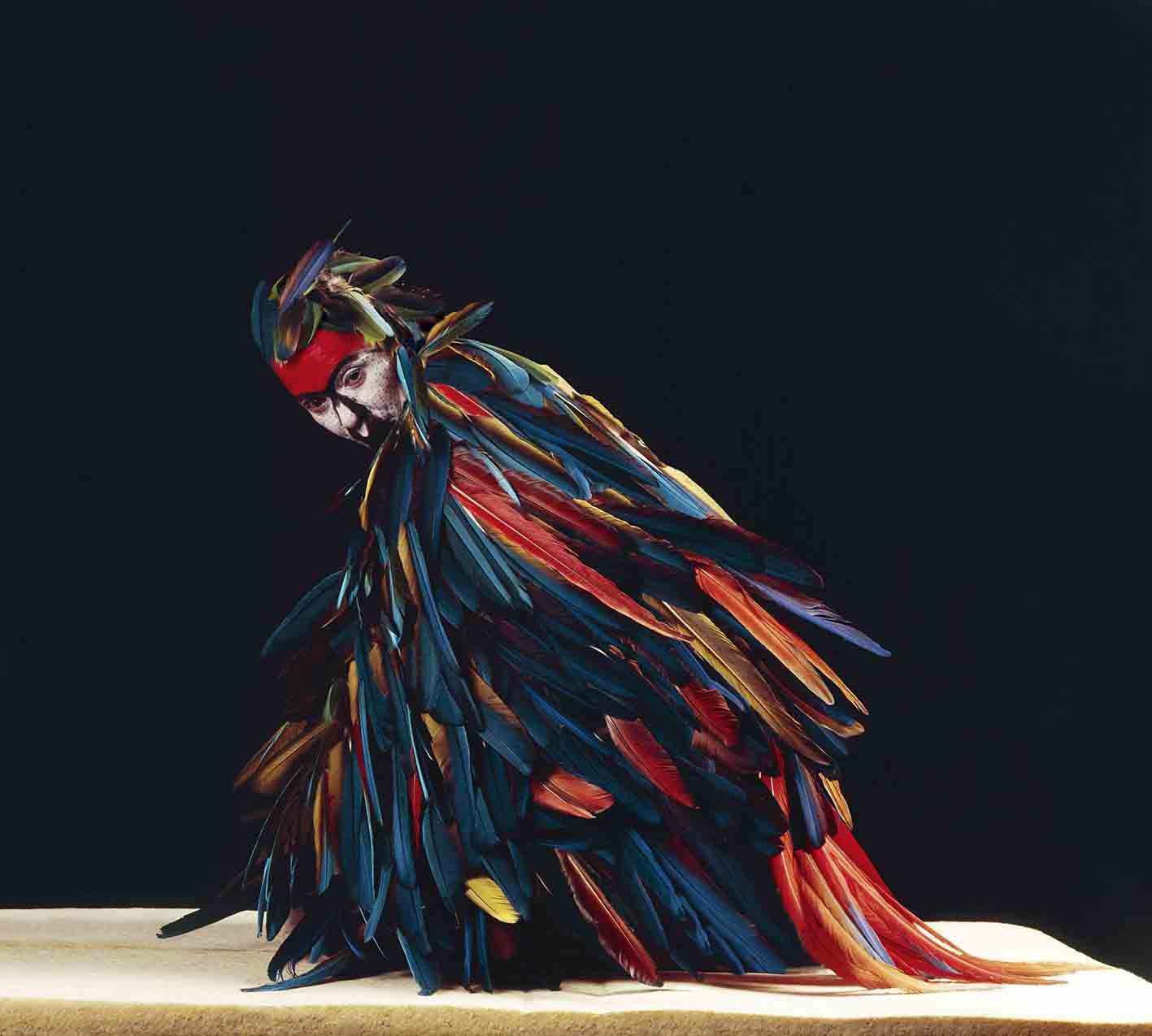 Cecilia Paredes - Jardin Remoto